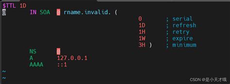 Linux Dns Linux Dns Csdn