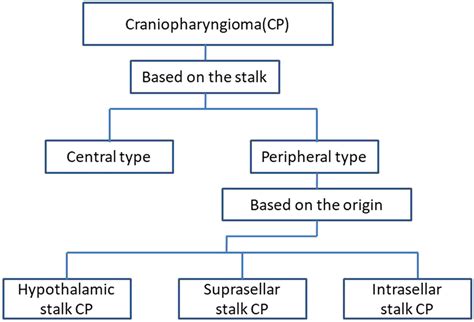 Scheme Of The Endoscopic Classification Of Cps Based On The Relation Download Scientific