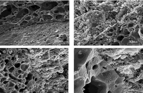 S Image From A Scanning Electron Microscope Of Concrete A Without Download Scientific Diagram