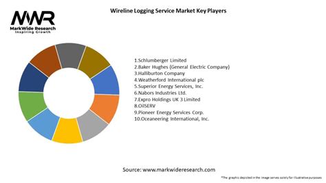 Wireline Logging Service Market Size Share Growth