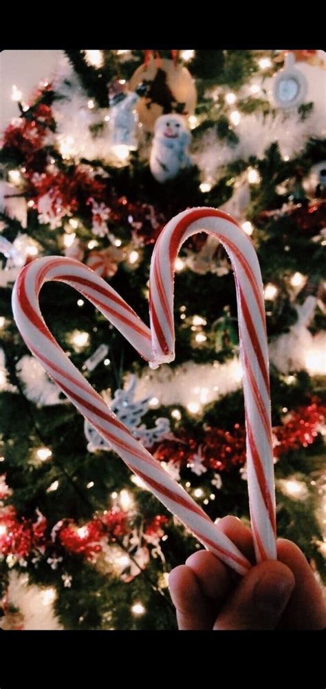 Pin By Полина On Рождественские обои Christmas Photography Christmas