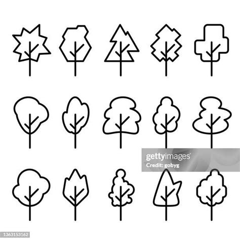 Evergreen Tree Outline