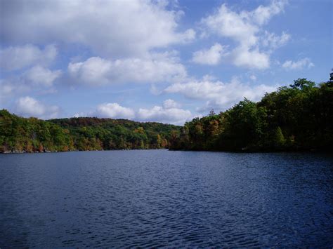 Freshwater Ecology Lentic Systems
