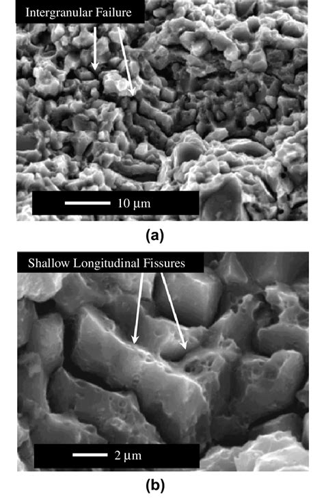 Scanning Electron Micrograph Of Fracture Surface From A Download Scientific Diagram