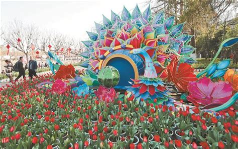 昆明：赏花 观景 过年 云南频道 人民网