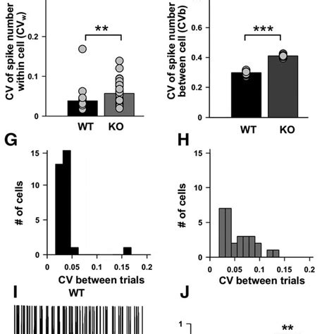 Increased Spike Variability And Spike Timing Imprecision Download Scientific Diagram