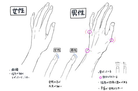 魅力的な手と指のイラストの描き方男性女性老人子供の描き分けや初心者向けの練習方法