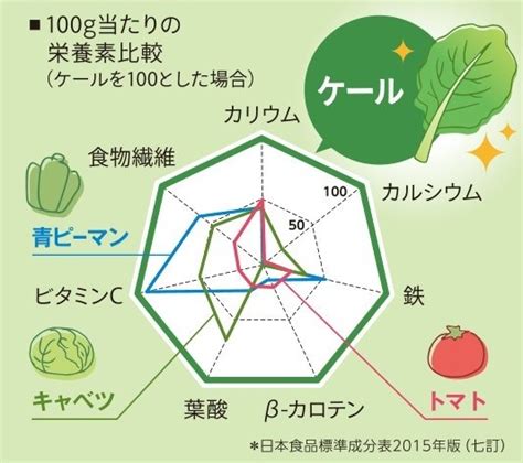 野菜から摂取できる栄養素とは？不足しがちな栄養素を効率よく摂るにはどんな方法がある？│健康食品通販のファンケルオンライン
