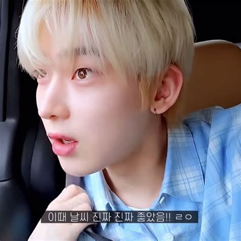 En Log Sunoo Human Fennec Fox Beloved