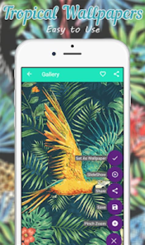 Tropical Wallpaper For Android Download