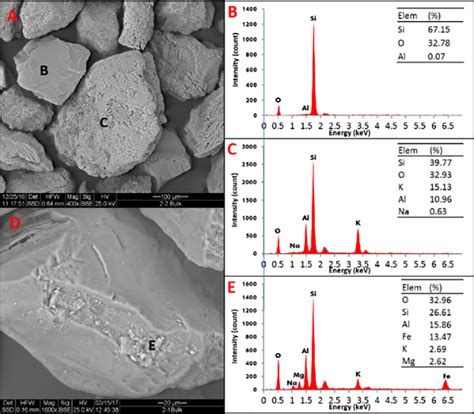 A Scanning Electron Microscopy Sem Image Of An Oceano Sand Sample Download Scientific