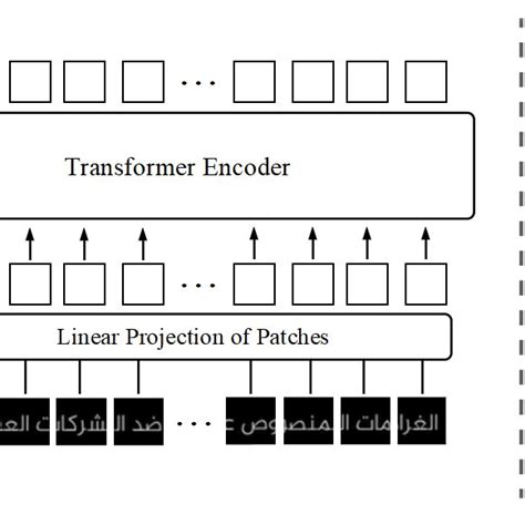 The Encoder Split The Input Image Into Fixed Size Patches The Patches