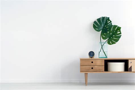 Can You Propagate Monstera Without Node EXPLAINED Foliage Friend