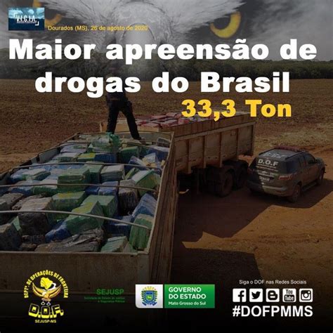 Polícia apreende 33 toneladas de maconha no MS na maior apreensão de