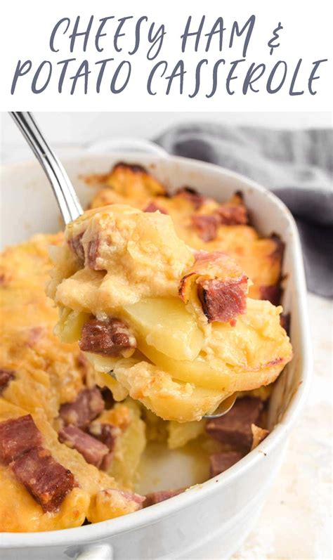 Cheesy Ham And Potato Casserole 40 Aprons