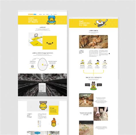 스트롱에그 워드프레스 반응형 쇼핑몰 제작 사례 스튜디오 제이티 좋은 디자인으로 워드프레스 반응형웹을 제작하는 검색엔진최적화 전문 웹에이전시 웹디자인 웹 디자인