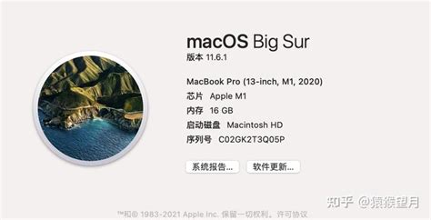 mac m1芯片启动react native失败踩坑记 知乎