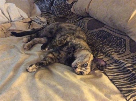 Tired Sprite