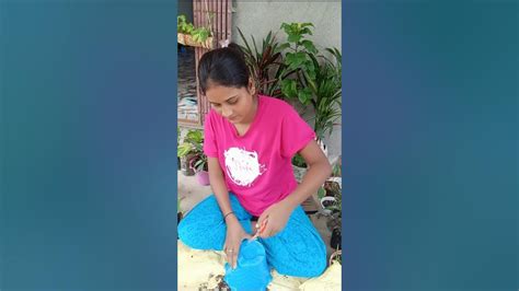 বেশিরভাগ ইনডোর প্লান্টস স্ট্রং হয়🌲🌱🍄 Short Viralshort Bengali Shortsfeed Plants Greenworld