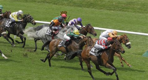 Hippisme. Le Grand Prix de Lyon se dispute à Parilly