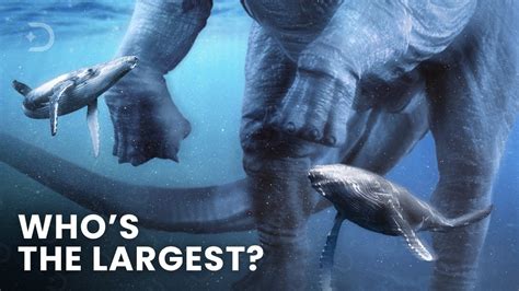 Largest Creatures To Ever Exist On Earth Size Comparison Part 1