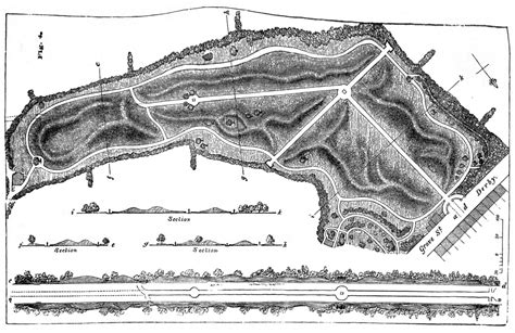 The Transatlantic Arboretum In The Nineteenth Century Arnold Arboretum