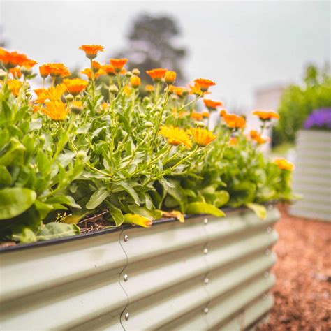 4 In 1 Modular Metal Raised Garden Bed Kit Plant Addicts