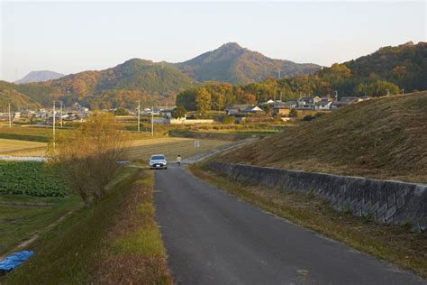 雑記