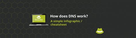 How Does DNS Work Cheatsheet Infographic Seguro Cyber Security