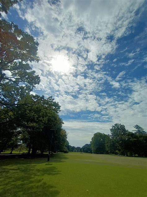 優駿ノブでーす On Twitter 今日景色 【調布市・三鷹市 野川公園 晴れ☀ 青空拡がり気持ち良い👍】
