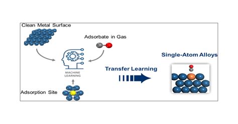 Exploring Structure Sensitive Relations For Small Species Adsorption