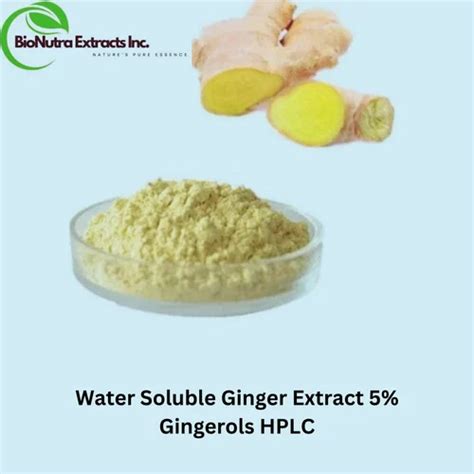 Ginger Extract Gingerol 5 At ₹ 2500kg Ginger Extract In Faridabad