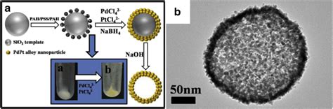 A Schematic Representation For The Synthesis Of Hollow Porous Pdpt Download Scientific Diagram