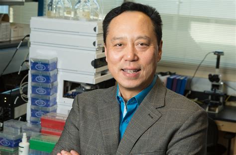 Wei Yan To Lead Wsus School Of Molecular Biosciences Wsu Insider Washington State University
