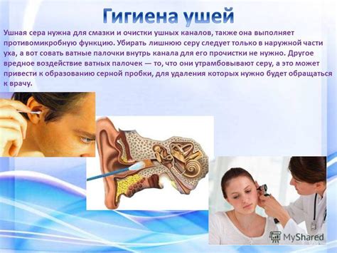 Презентация на тему Ушная сера нужна для смазки и очистки ушных