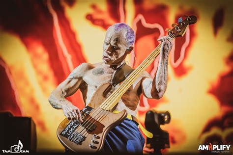 Red Hot Chili Peppers Post Malone Suncorp Stadium Brisbane 29th