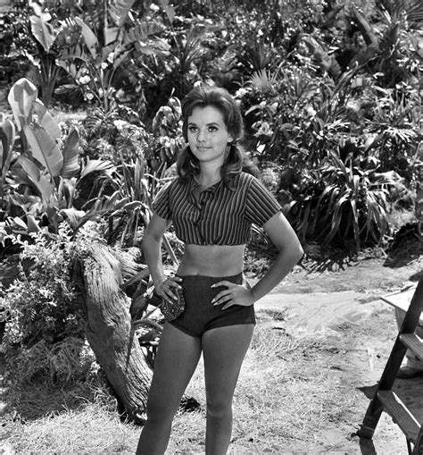 The Mixed Fortunes Of 1960s Sitcom Stars From Bewitched To I Dream Of