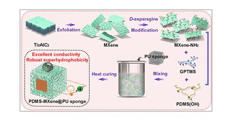 Conductive Cross Linkable Pdms Mxene Nanosheet Networks On Polyurethane Sponges As Robust
