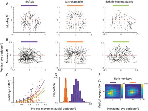 Ab Vector Fields Capturing The Dependence Of Eye Movement Amplitude
