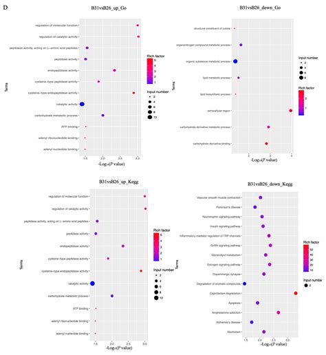 Characteristics Of The Accessible Chromatin Landscape And Transcriptome Under Different