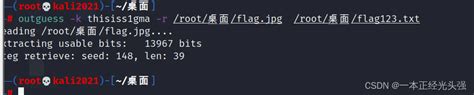 青少年ctfmisc 间谍的录音 ctf mmsstv csdn博客