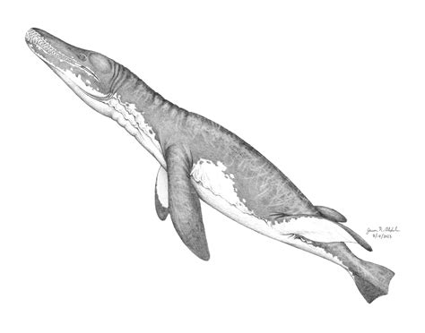 Pliosaurus Dinosaurs And Barbarians