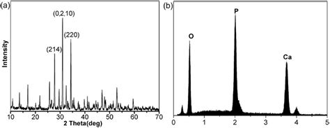 A Xrd And B Eds Patterns Of β Tcp Download Scientific Diagram
