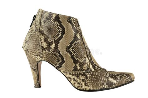 Zapatos Hechos De Piel De Serpiente Foto De Archivo Imagen De Vida
