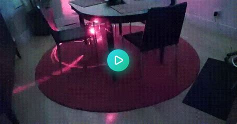 Playing With Cat When Suddenly Oc Album On Imgur