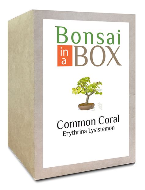 Bonsai In A Box Corel Tree In A Box