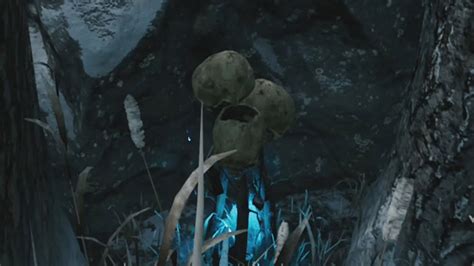 Dbd The Boon Youtube