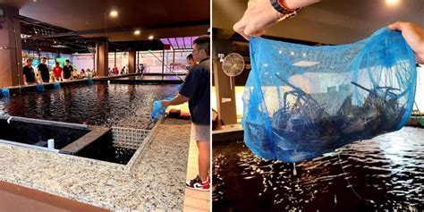 Prawning At Orto Moves To West Coast Westies Can Fish And Dine With The Fam