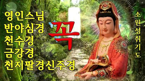 명상의말씀🌕월세에서 자가집으로🌕 끊임없이 부활하는 불새의 부귀재물에너지 소원성취 로또1등 스피또 2등 자기긍정 자기암시 명상음악 돈을 부르는