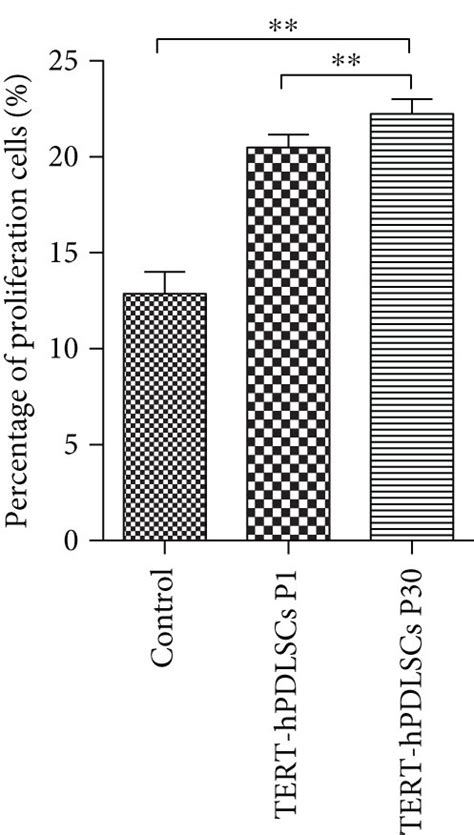 Verteporfin Led To A Decreased Proliferation Capacity Cell